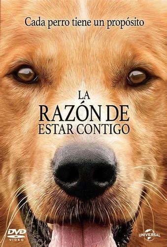 Dvd La Razon De Estar Contigo MercadoLibre