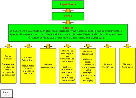 Formas De Conhecimento Senso Comum On Sale Emergencydentistry