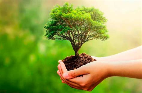 10 DICAS IMPORTANTES PARA PRESERVAR O MEIO AMBIENTE Prefeitura