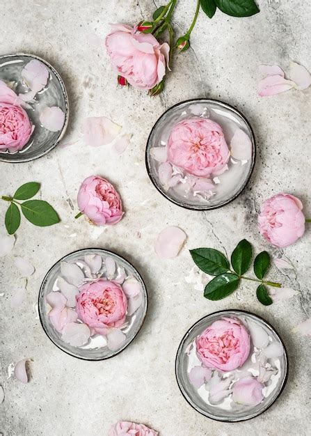 Rosas rosadas frescas y pétalos de rosa en los tazones de agua fragante