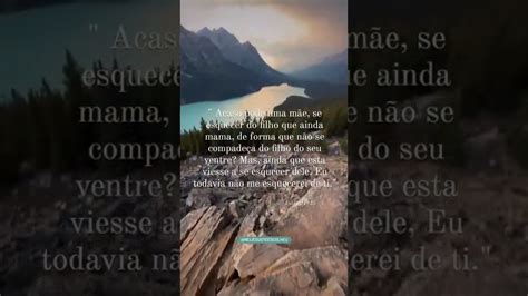 Voc N O Est S Mesmo Que As Circunst Ncias Da Vida Digam O Contr Rio