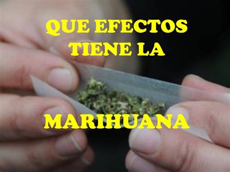 MARIHUANA Efectos Y Consecuencias 2016 YouTube