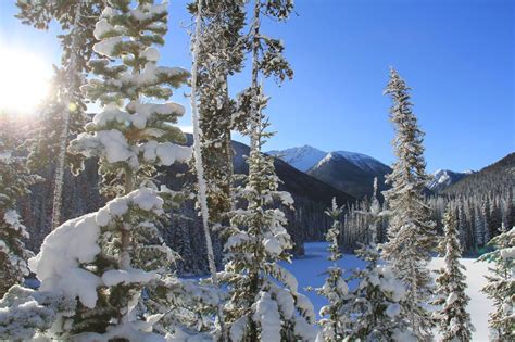 Manning Park Resort Upcoming Events In Manning Park On Do250