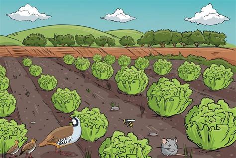 La Gran Diversidad De Ecosistemas Issuu
