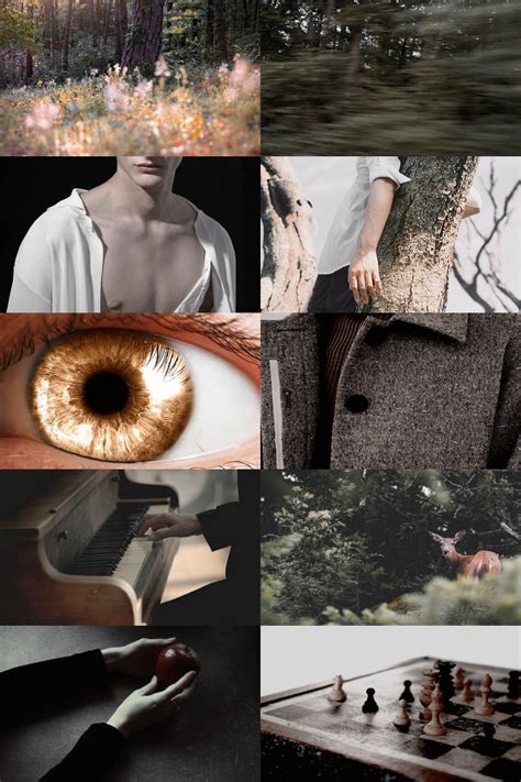 Twilight Saga Aesthetic Wallpapers Wallpaper Cave