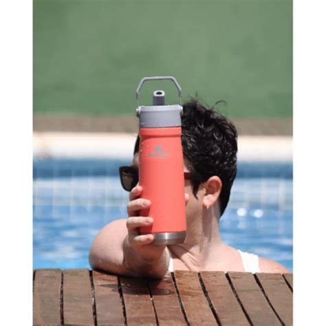 Garrafa Térmica Flip Straw 651 ml Guava Stanley