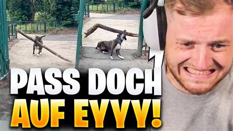 SEHR STARKE DAILY DOSE Of INTERNET FOLGEN REAKTION Trymacs Stream