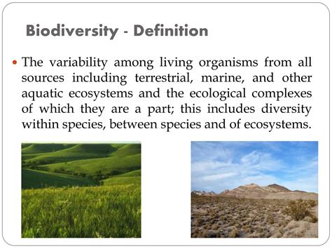 Germplasm Conservation In Situ Ex Situ And On Farm And Biodiversity PPT