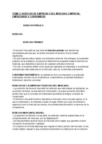 Tema 1 Mercantil Pdf