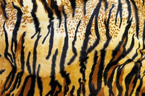 Tiger Print Wallpapers Bigbeamng
