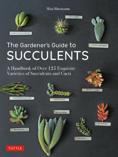 The Gardener S Guide To Succulents A Handbook Of Over 125 Exquisite