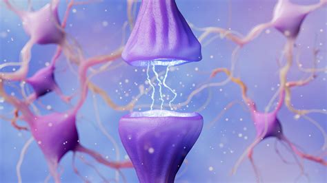 Neurons In The Brain Communicate With Each Other By