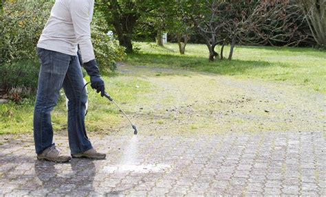Comment Traiter Sa Terrasse Contre Les Mousses