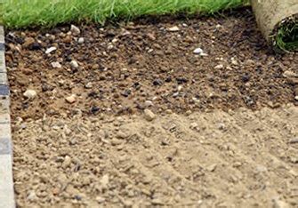 Preparación adecuada de la tierra para sembrar césped