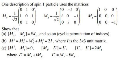 solved one description of spin 1 particle uses the matrices
