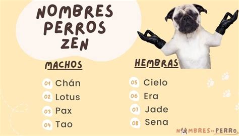 Los Mejores Nombres ZEN Para Perro Y Su Significado Nombres De Perro