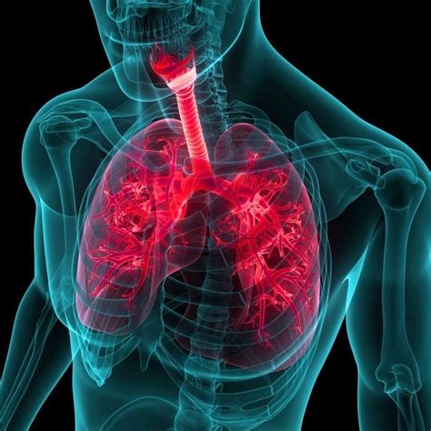 Conoces las claves del Día de la Fibrosis Quística Aiudo Blog