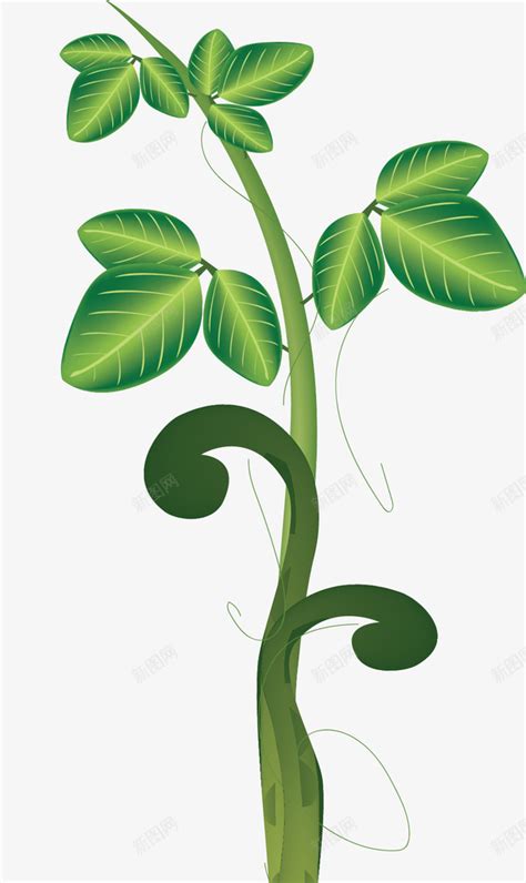 绿色反光豆茎png图片免费下载 素材dilhxiei 88ICON