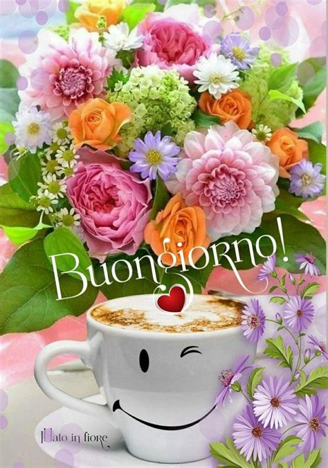 Pin di Beruška Olíí su Dino Ok Buongiorno fiori Buongiorno immagini