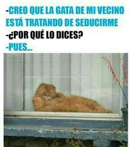 Memes Y Momos 13 Momazos Amino