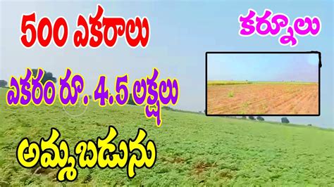 500 Acres Land For Sale Low Cost Agriculture Land In Kurnool District