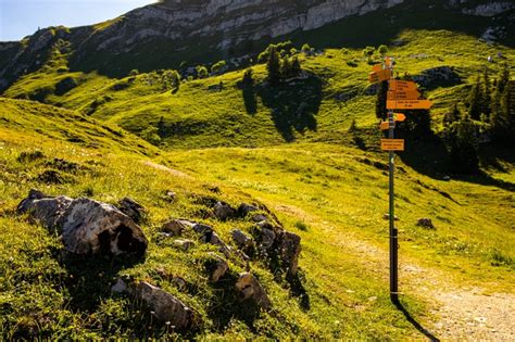 Greenery Trees Hiking Switzerland Outdoors Cliff Nature