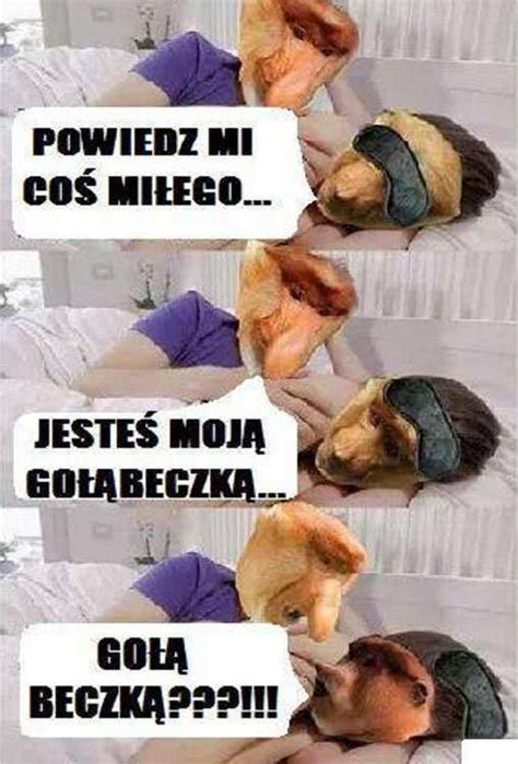 Najlepsze memy śmieszne obrazki na wesoło Zabawne najnowsze