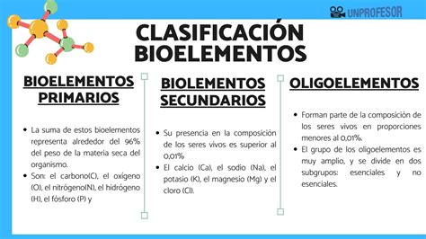 Clasificación de los BIOELEMENTOS RESUMEN fácil EJEMPLOS
