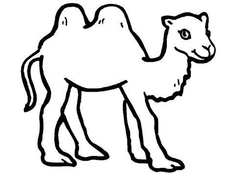 Disegno Di Cammelli Da Colorare