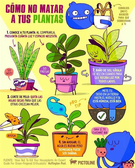 Sintético 93 Foto Infografía Del Cuidado De Las Plantas Alta