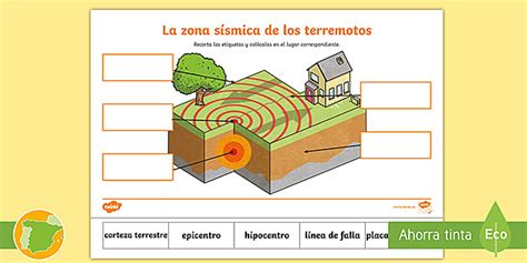 Ficha de actividad Las partes sísmicas de un terremoto