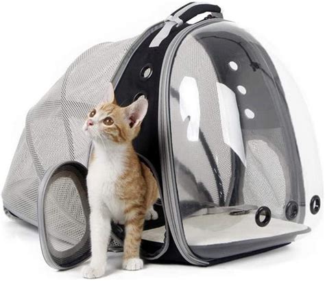 Le Meilleur Sac De Transports Pour Chat Au Canada En 2024