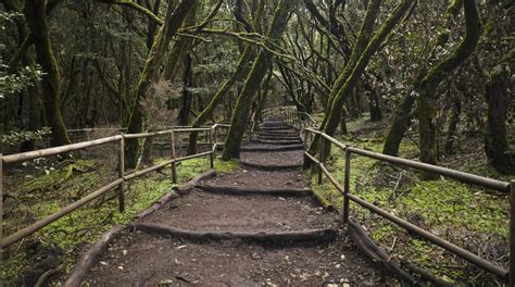 La Gomera Najbardziej Niedoceniona Z Wysp Kanaryjskich SmartAge Pl