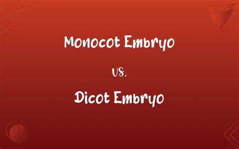 Monocot Embryo Vs Dicot Embryo Whats The Difference