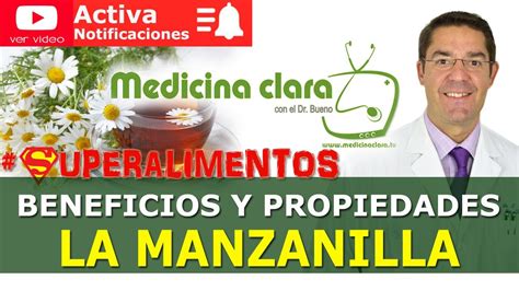 Manzanilla Beneficios Y Propiedades De Las Infusiones De Manzanilla