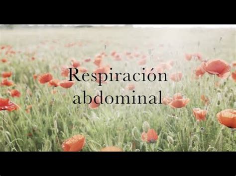 Respiración abdominal o yóguica ejercicio guiado YouTube