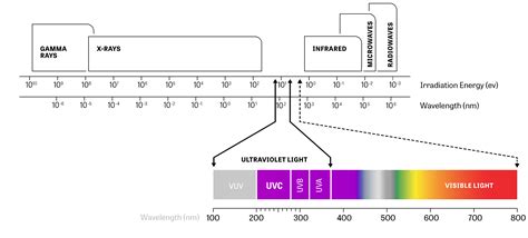 Understanding Uva Uvb Uvc Reptile Lighting Off