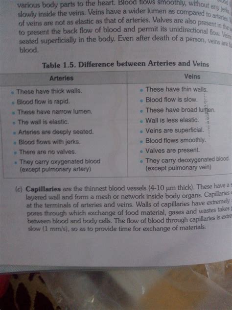Different Between Arteries And Veins In Tabular Form Brainly In