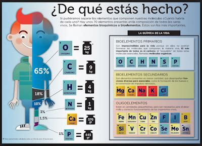 Do Secundaria Bioelementos Y Niveles De Organizacion De La Materia