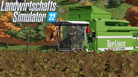 LS22 HAUT BEYLERON 27 Sonnenblumen Ernten Mit Dem Deutz Topliner