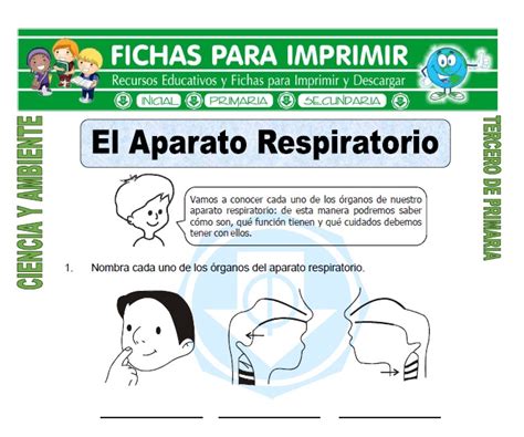 Fichas Para Imprimir De Segundo Grado Kulturaupice Porn Sex Picture