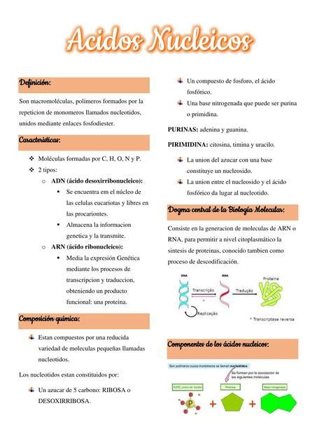 Ácidos nucleicos RaissaV23 uDocz