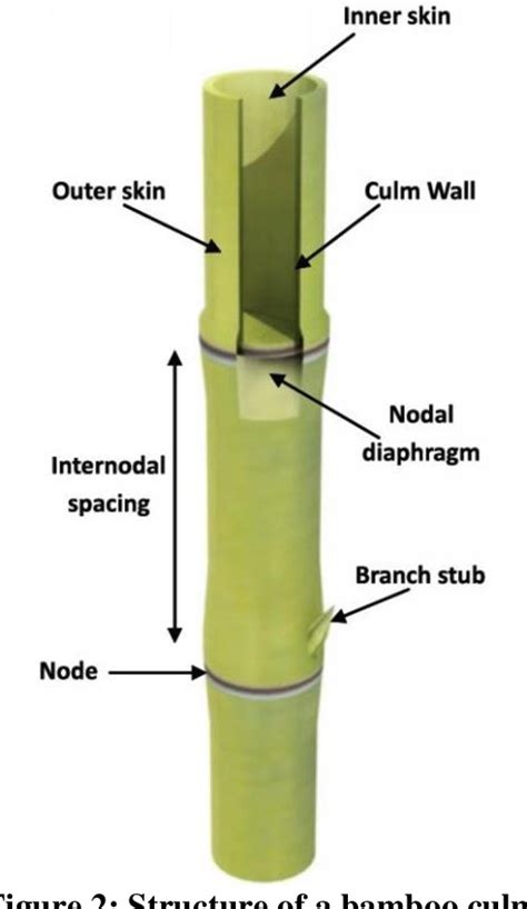 [pdf] structural use of bamboo part 1 introduction to bamboo semantic scholar