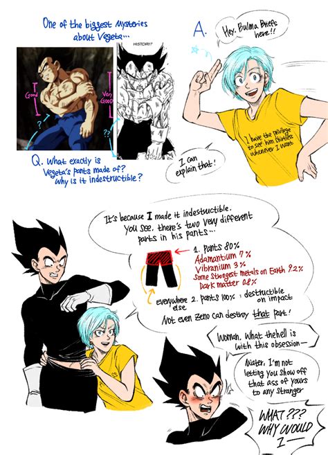 Vegeta And Bulma Dragon Ball And More Drawn By Jorongbak Danbooru