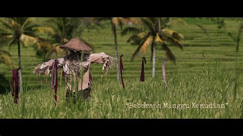 Kkn Di Desa Penari Part Video Dailymotion
