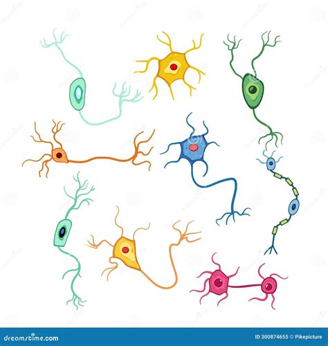 Neurons Set Cartoon Vector Illustration Stock Illustration