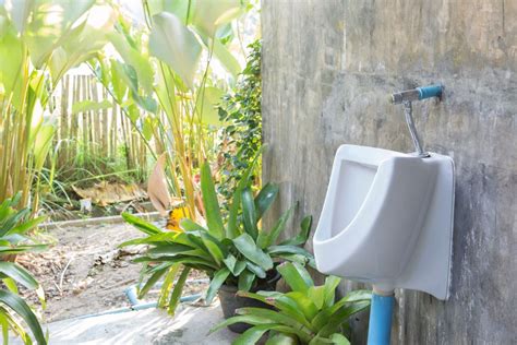 Comment Installer Des Toilettes Sèches Dans Le Jardin Rénovation Facile