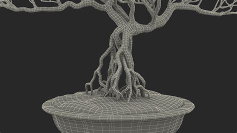 D Bonsai Naked Tree Pot Model Turbosquid