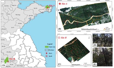 full article applicability of uav based optical imagery and classification algorithms for