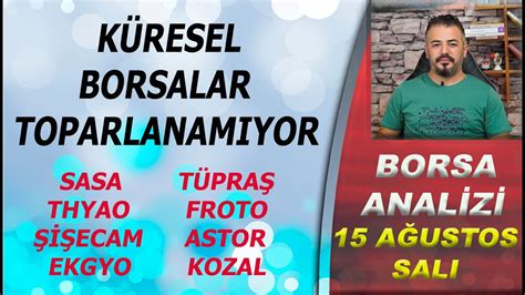 PARA GİRİŞİ ve ÇIKIŞI OLAN HİSSELER sasa thyao şişecam ekgyo